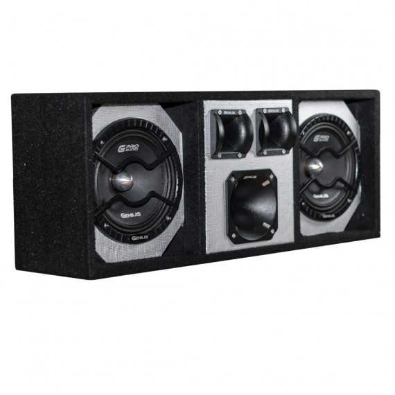 CAJA ACÚSTICA PORTEADA CHUCHERO 8" CON DRIVER – Genius Audio