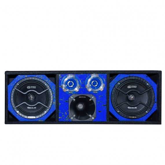 CAJA ACÚSTICA PORTEADA CHUCHERO 8" CON DRIVER – Genius Audio