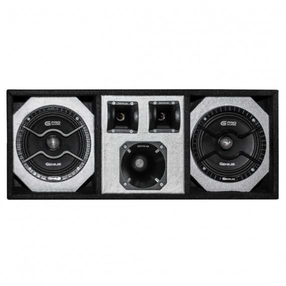 CAJA ACÚSTICA PORTEADA CHUCHERO 10" CON DRIVER – Genius Audio